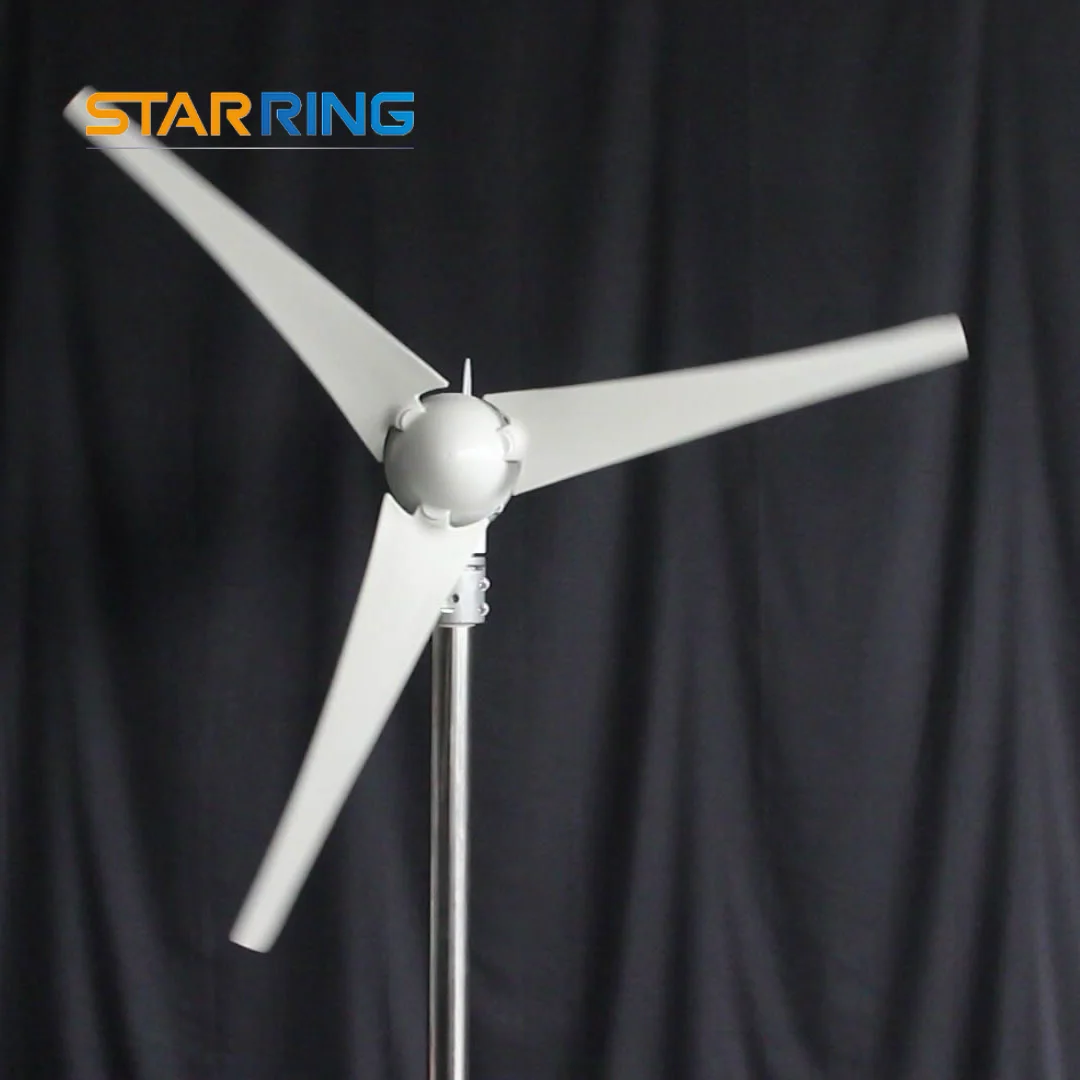 1000w Wind Turbine 12v24v48v 1000 Watt Horizontal Axis Ac Wind ...