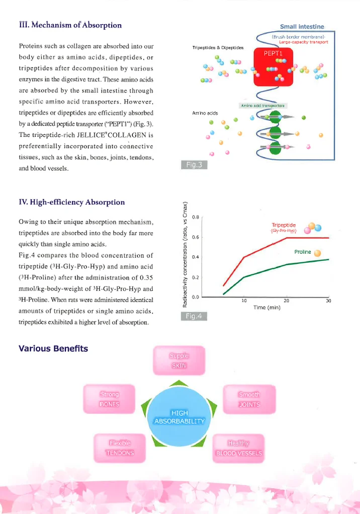 Highly Absorbable Marine Cod Fish Collagen Peptide for Anti Aging ...