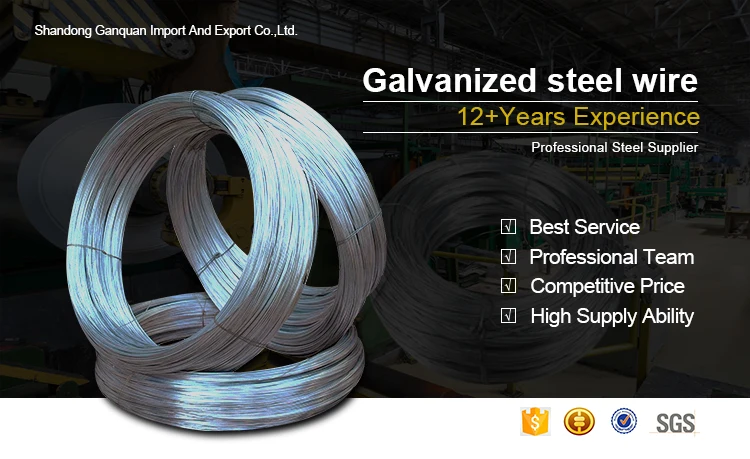 Hot Dipped/electric Galvanized Mild Steel Binding Wire 10 12 14 18 20 ...
