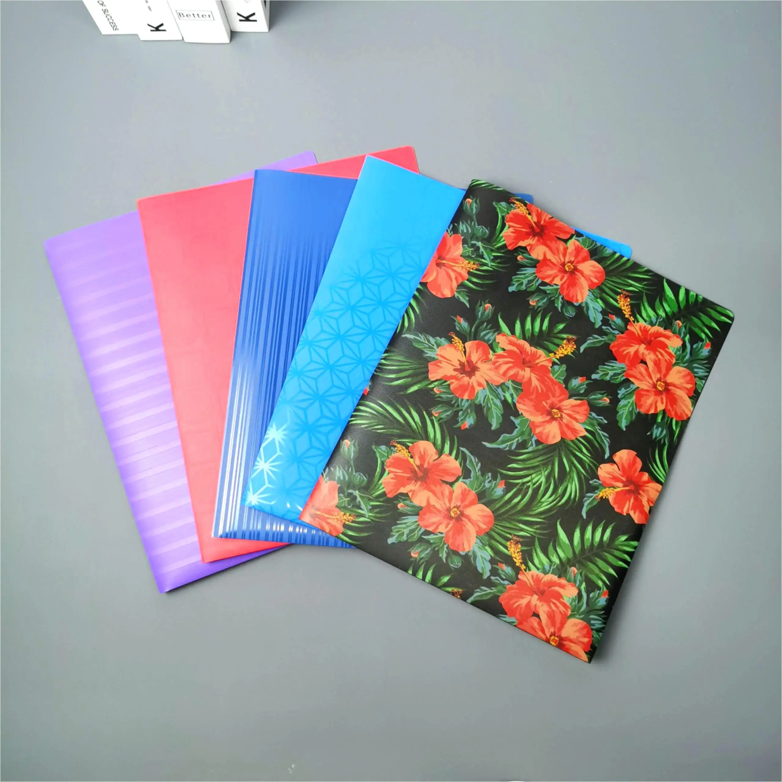 Custom Printing A4 Size File Two Single Pocket Folders Letter Size ...