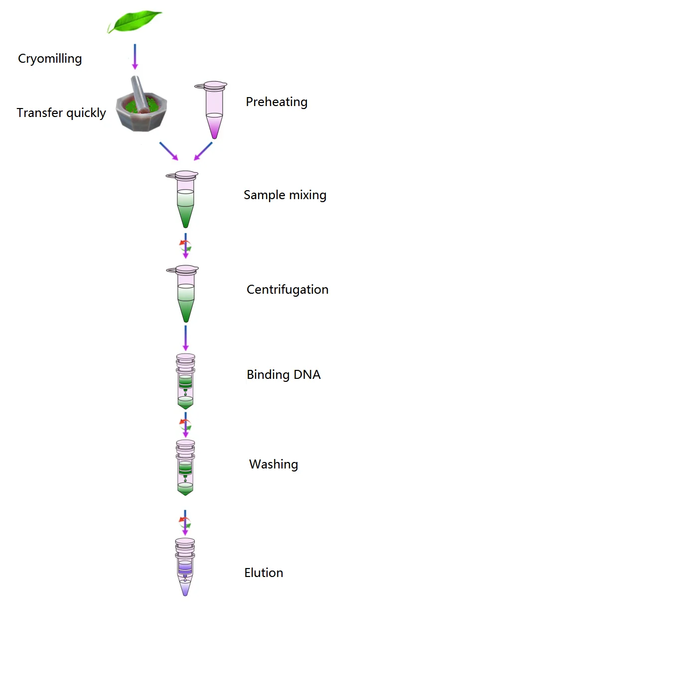 Foregene Plant DNA Extraction Kits - Fast & Safe Solutions