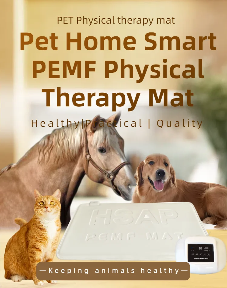 Portable Home PEMF Physical Therapy Pads for Pets Reusable Anti-Aging ...