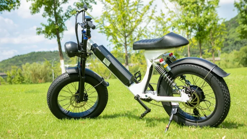 Eu Warehouse Gaea Moped Style Ebike 500w 750w Motor 15ah Battery 25km/h ...