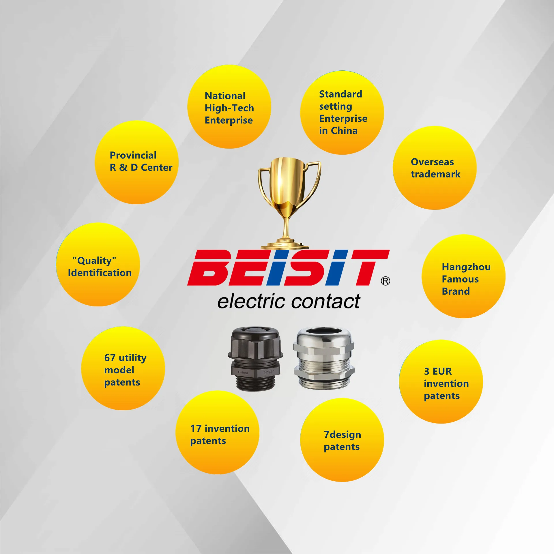 Beisit Cable Glands - Reliable Metric Solutions for High & Low Temperatures