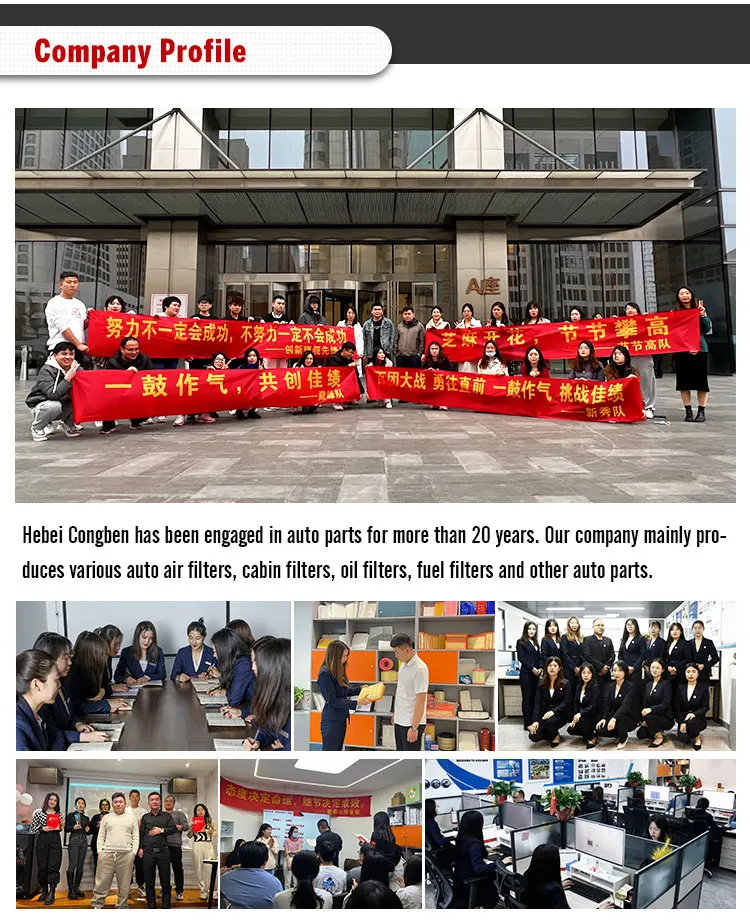 Congben Truck Diesel Engine Oil Filter 21380488 22988765 21707133 ...