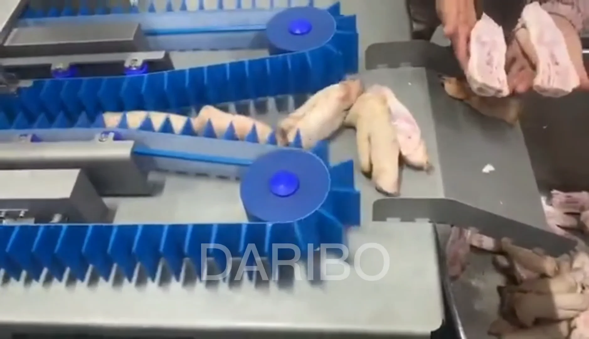 Drb-zt100 Frozen Trotters Mutton/beef/chicken/fish/cod Cutting Into Two ...