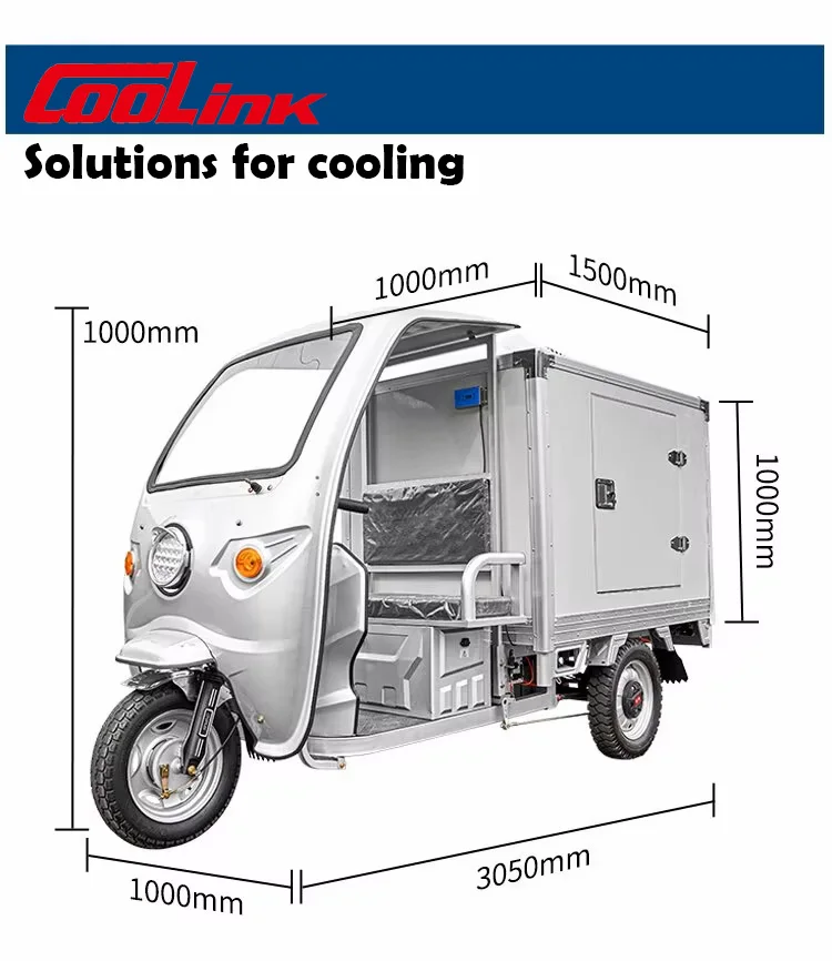 Tricycle Motorcycle Refrigerated Frozen Electrical Freezer
