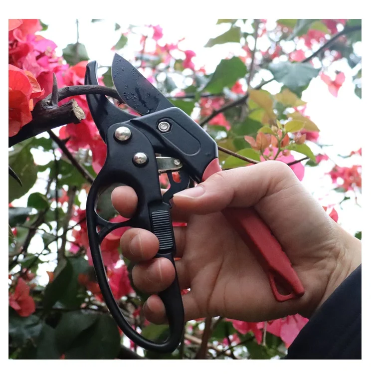 Sunshine 2024 Hot Selling Product Safety Lock Flexible Ratchet Hand ...