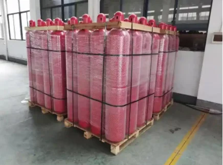 Fixed CO2 Fire Extinguishing System for Marine Applications - Reliable ...