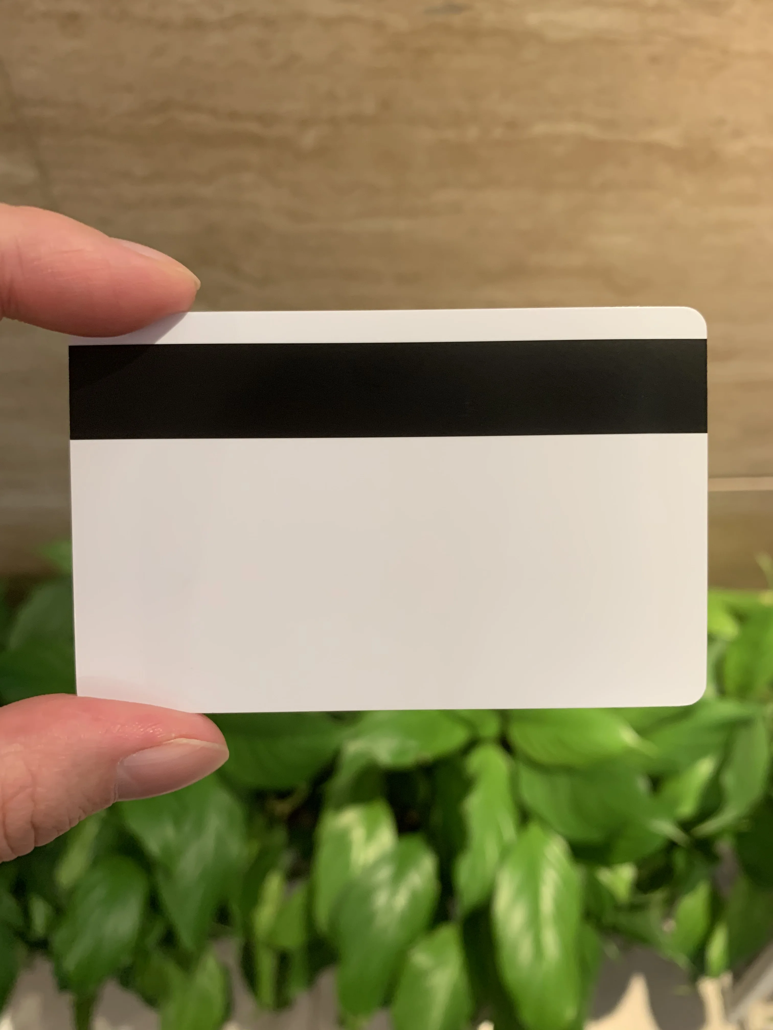 Customized Blank Prepaid Visa Master Credit Gift Cards