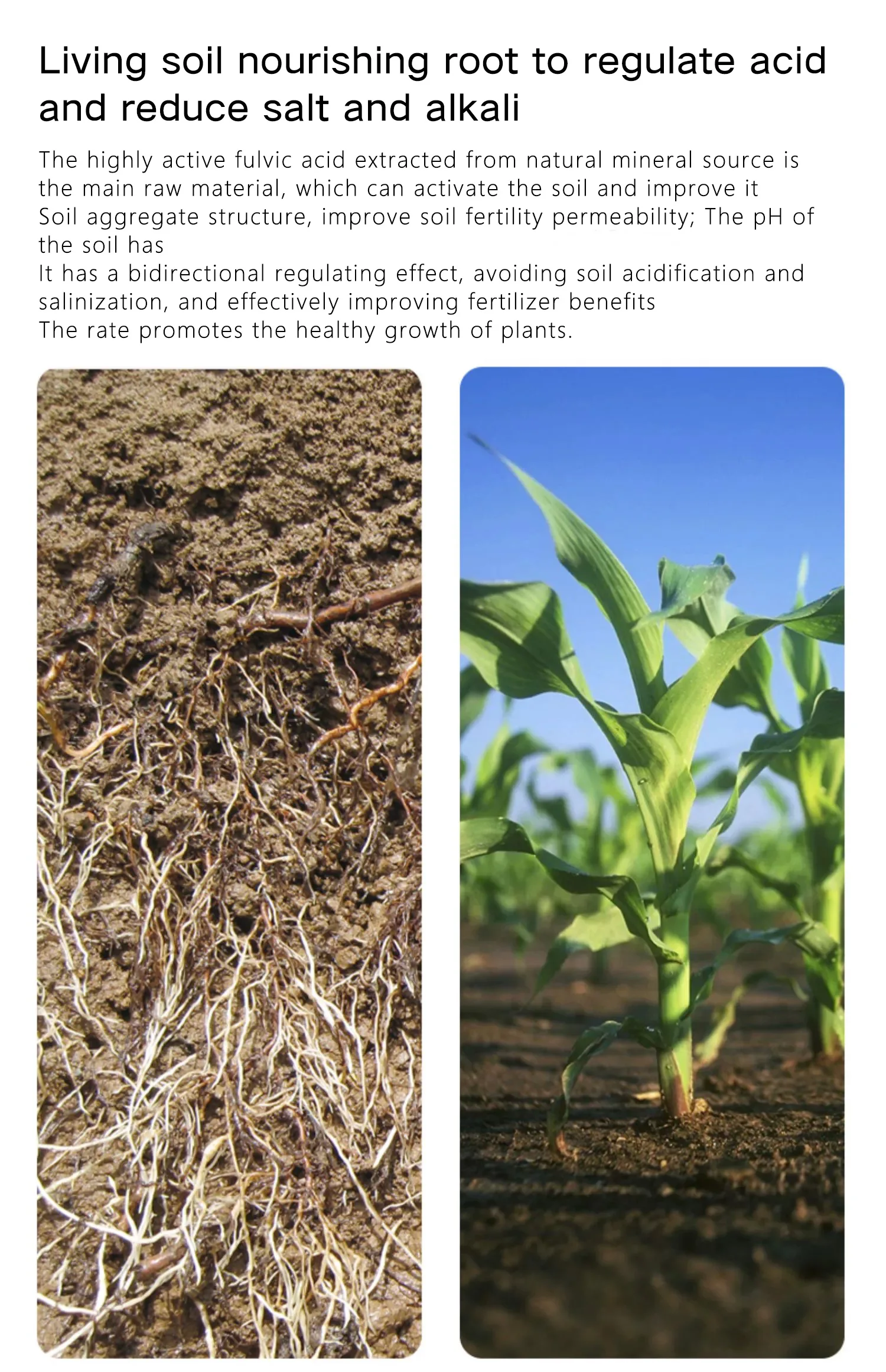 Wholesale Mineral Source Fulvic Acid Npk Humic Acid Fertilizer Powder Potassium Fertilizer ...