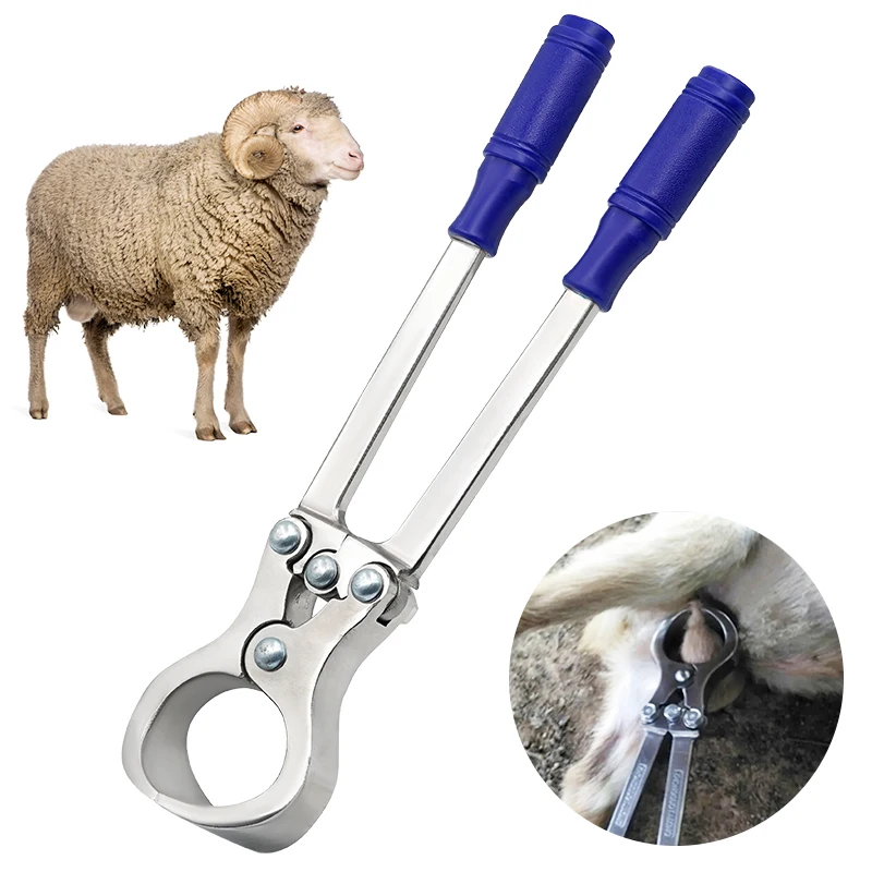 High Quality Stainless Steel Burdizzo Forceps Animal Castration Tool ...