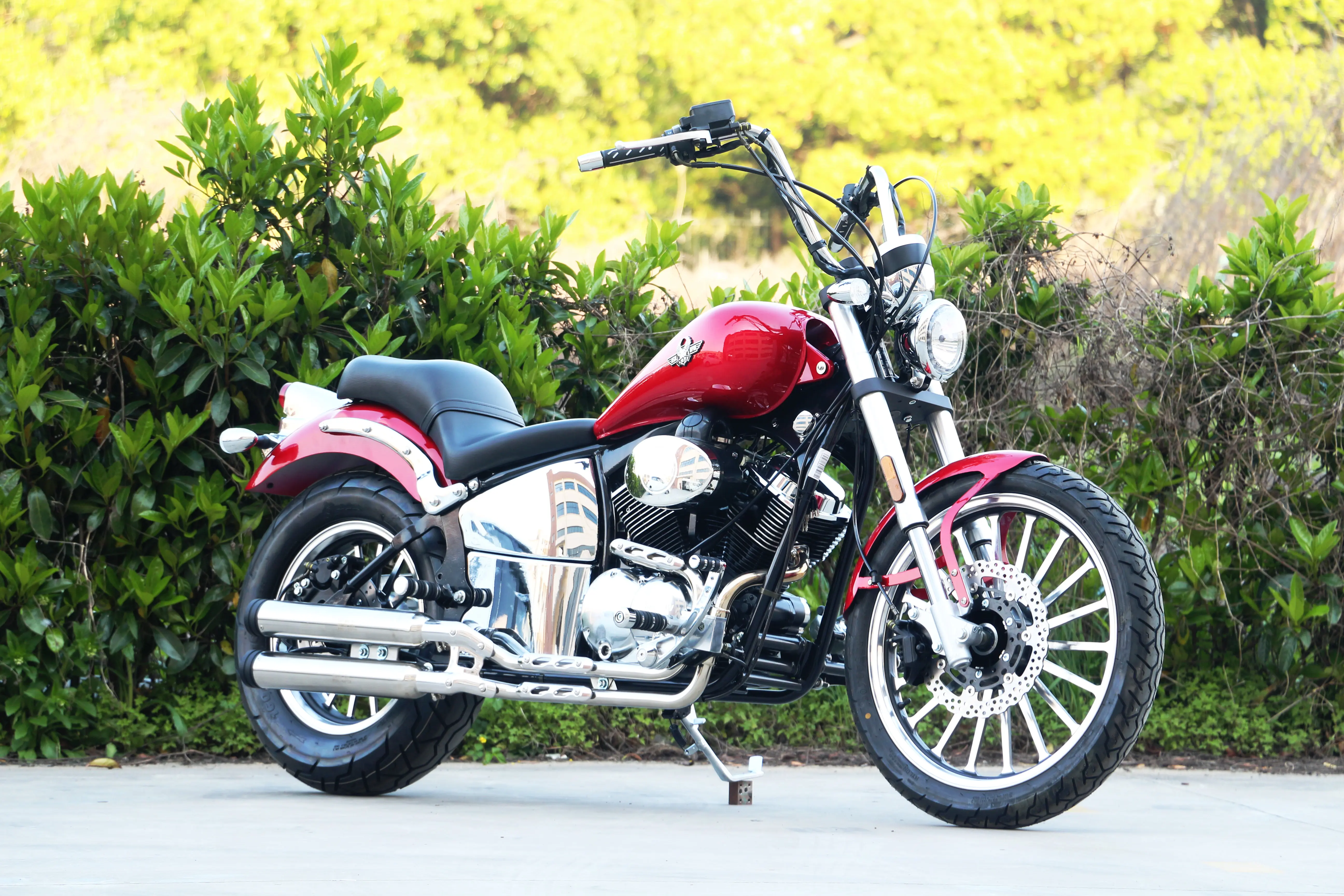 Regal Raptor DD250V - Adult Cool Shape Motorcycles with Sidecar