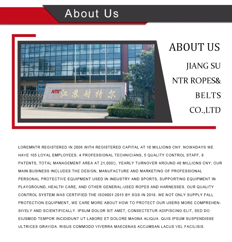 NTR Full Body Safety Harness for Fall Protection & Tree Climbing