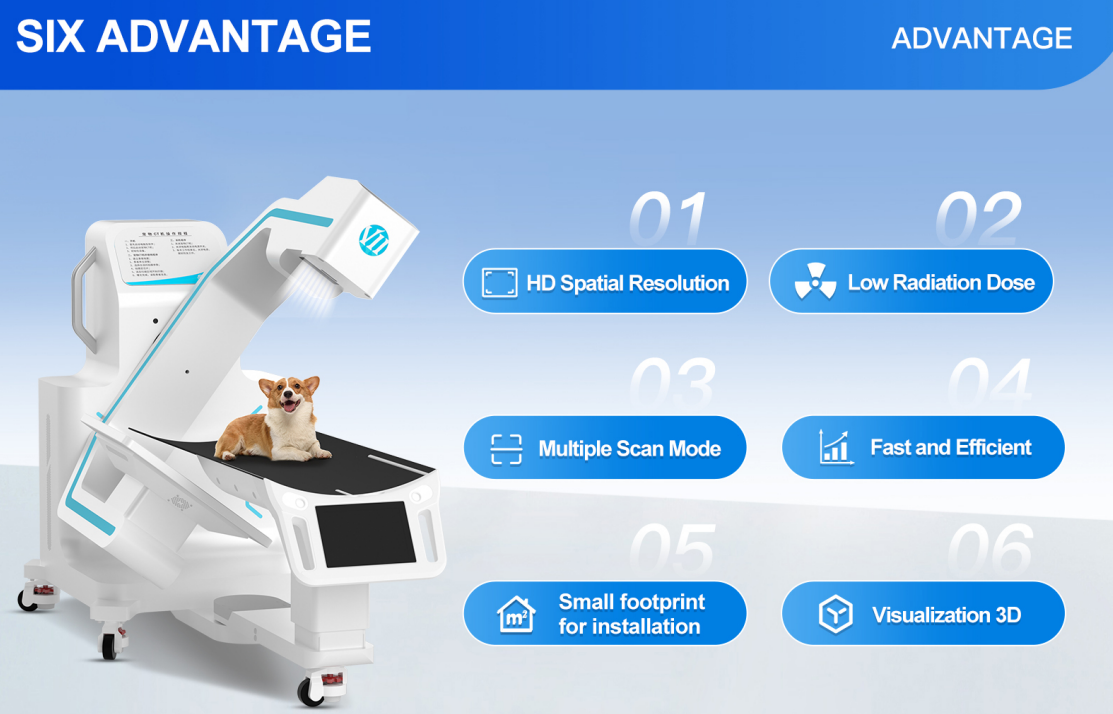 Veterinary CT Scan Machine | Cat & Dog Radiology RD Equipment | Pet CT ...