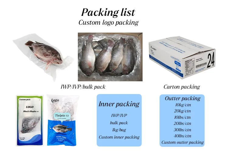 Frozen Alive Tilapia Whole Round Fish With Iqf Bulk Products Supplied ...