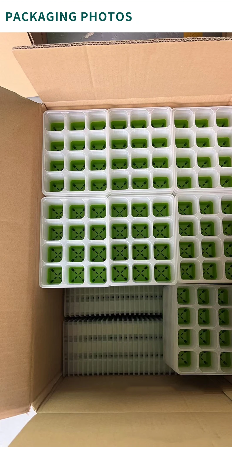 Silicone Seed Starting Trays - Durable & Reusable