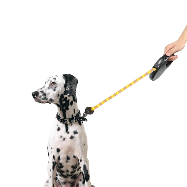 Dongguan Guanghe Electronic Technology Co., Ltd. - LED Pet Product, LED ...