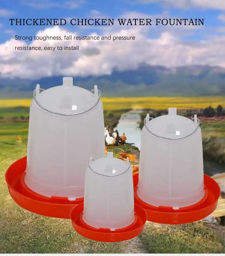 Chicken Drink Chicken Feeders Water Efficient Poultry Farm Feeders ...