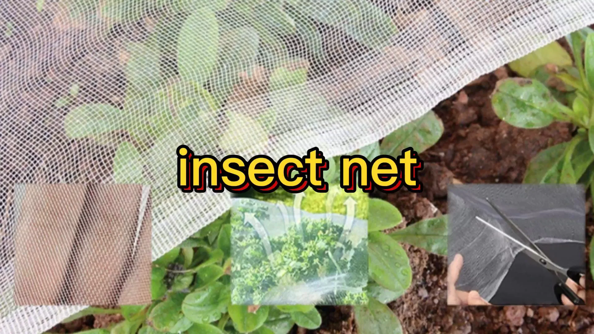 Wholesale Plant Insect Proof Net Bag 25 40 60 Mesh - Buy Insect Proof ...