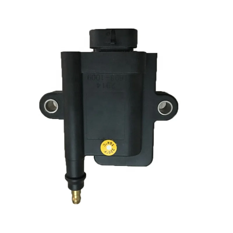 Heavy Truck Engine Parts - Ignition Coils 1698-1009