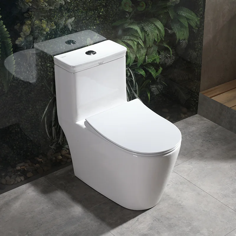 Luxury Modern Floor Mounted Siphonic Washdown Dual-flush One Piece ...
