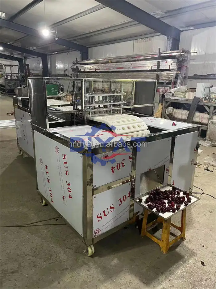 Stainless Steel Automatic Brown Date Pitting Roselle Corer Equipment ...