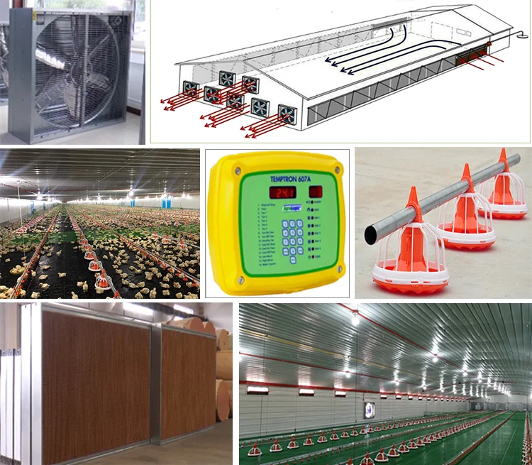 FM Prefab Poultry Closed House System - Efficient & Durable
