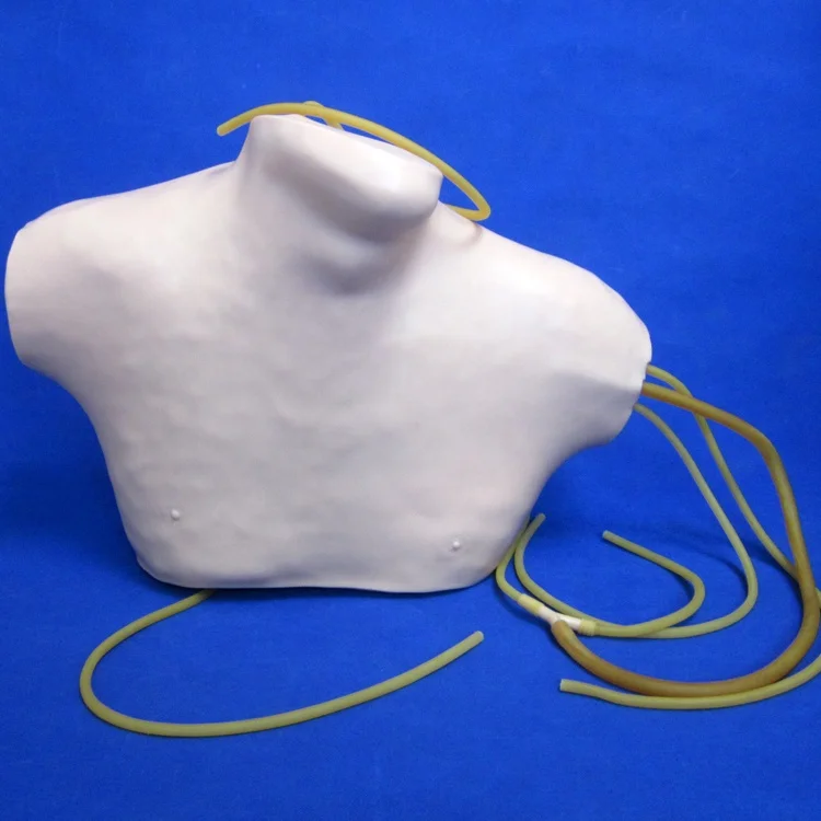 Cvc Torso Central Venipuncture Intubation Mannequin Model - Buy ...