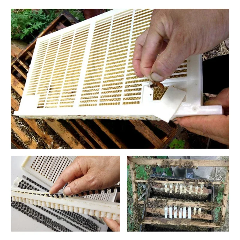 China Factory Wholesale Beekeeping Equipment No Grafting Larva Queen ...