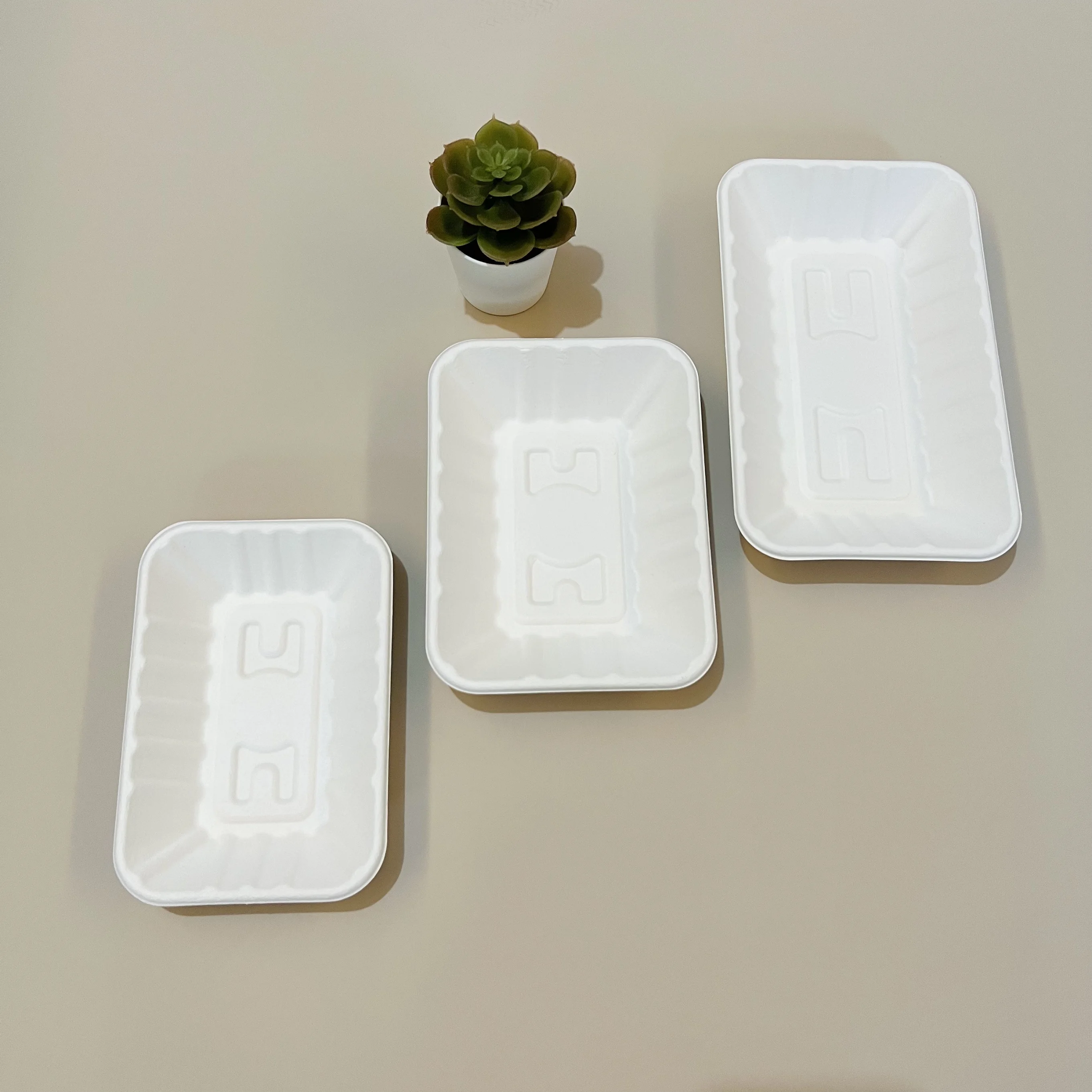 High Quality Disposable Bagasses Plates Food Dinner Set Disposable ...