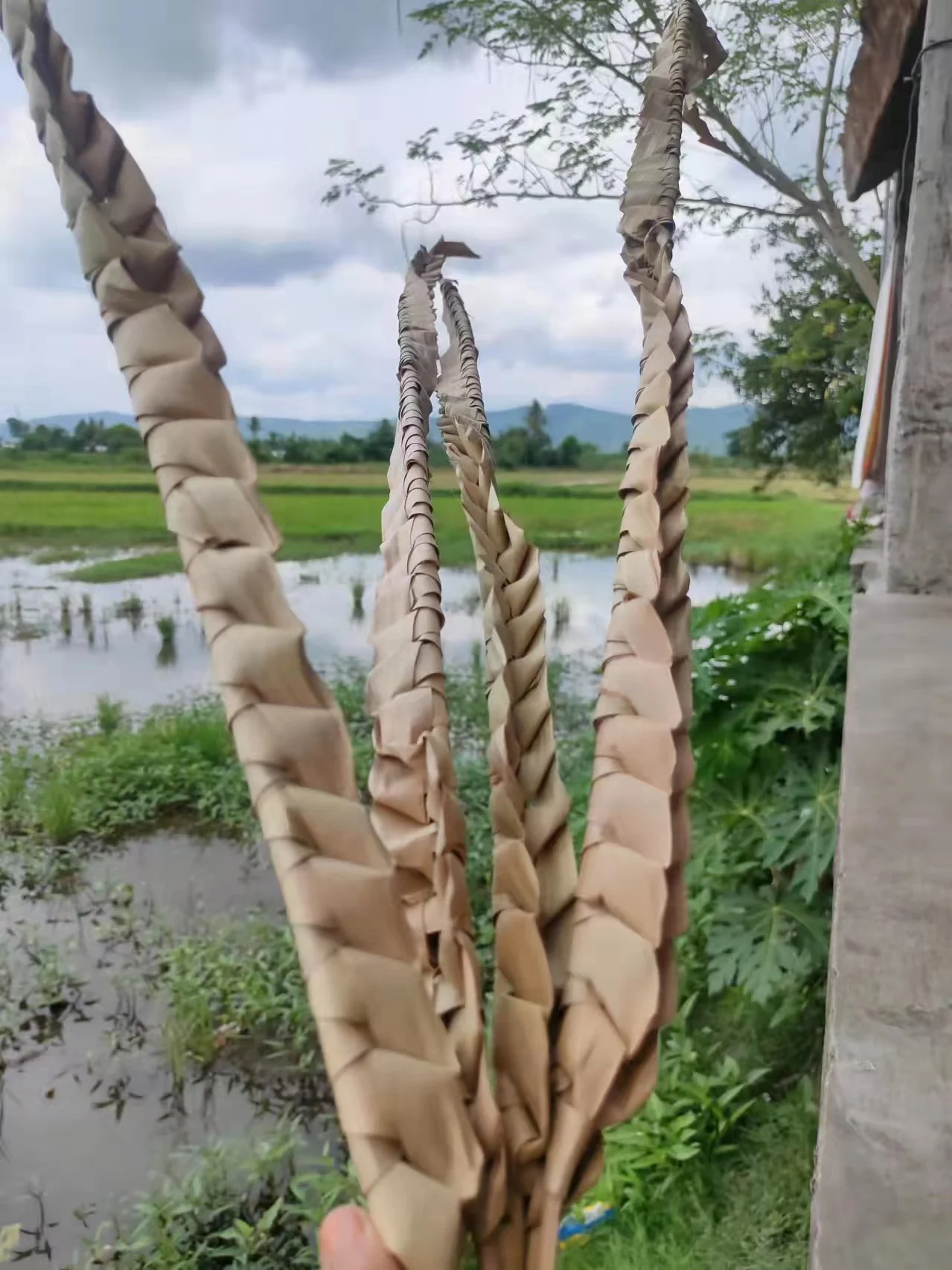 Home Use Decoration Dried Handmade Flower Make Of Nature Raffia Plant ...