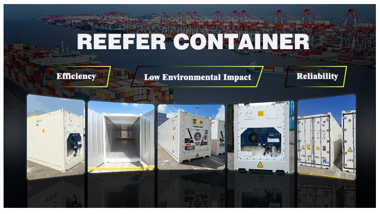 MEOX 20FT 40FT Tailored Reefer Container With Csc Certificate and ...