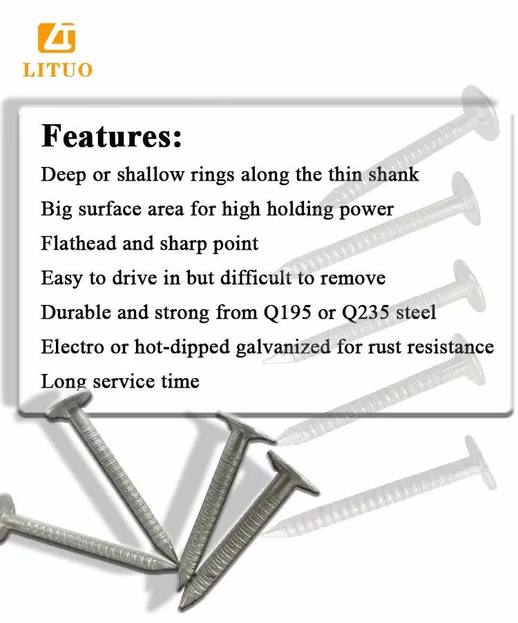 Annular Ring Shank Nails - Durable Galvanized Solutions