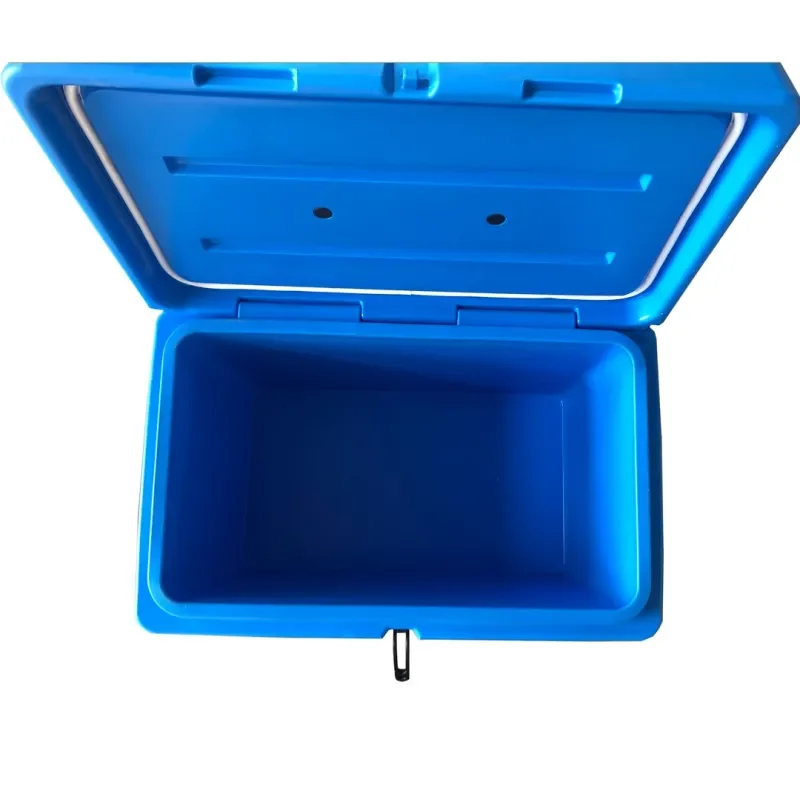 HM5101 Customizable Large Plastic Insulated Dry Ice Container