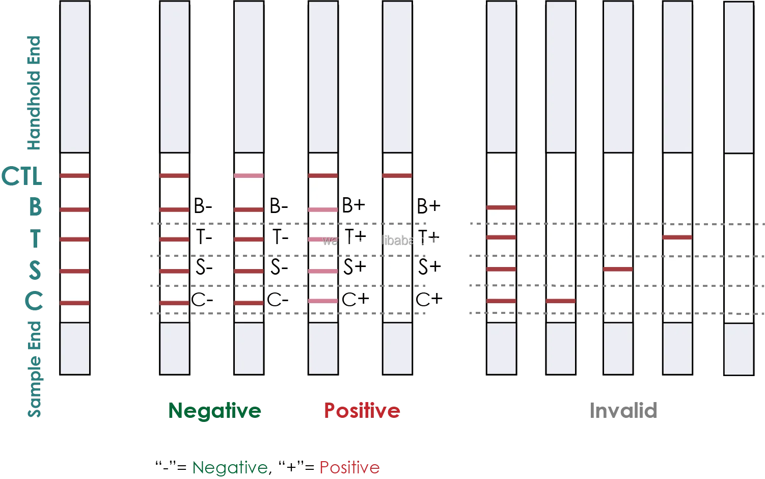 Beta-lactams Tetracyclines And Stremptomycin And Chloramphenicol 4in 1 ...