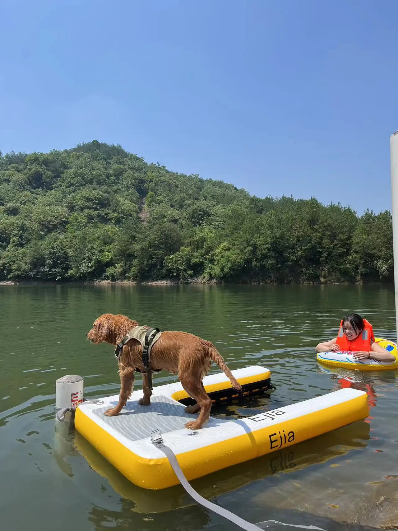 Dock Floating Exit Ramp Inflatable Dog Water Ramp Inflatable Pup Plank ...