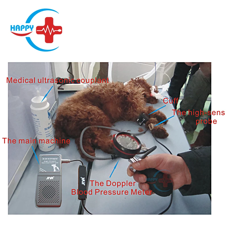 Alibaba.com: HC-R032 Veterinary Doppler Blood Pressure Instruments ...