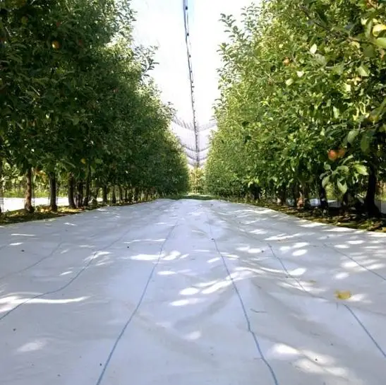 White Woven Weed Mat - Reflective Ground Cover for Orchards