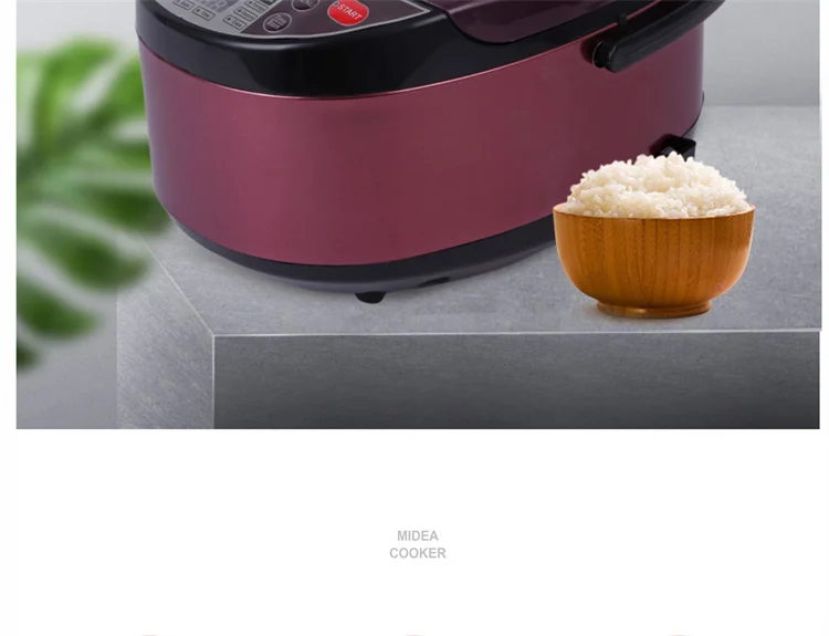 Hot Sale Silver Crest 5l Steamer Automatic Multifunction Electric ...