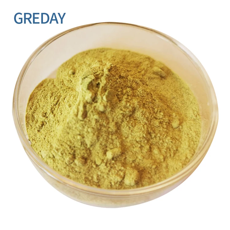 Caffeic Acid Extract Powder - Food Grade 99% Caffeic Acid