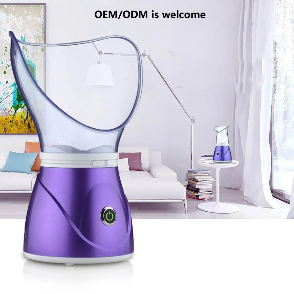 Professional Hot Mist Sauna Mini Steamer Face Facial Steamer Machine ...