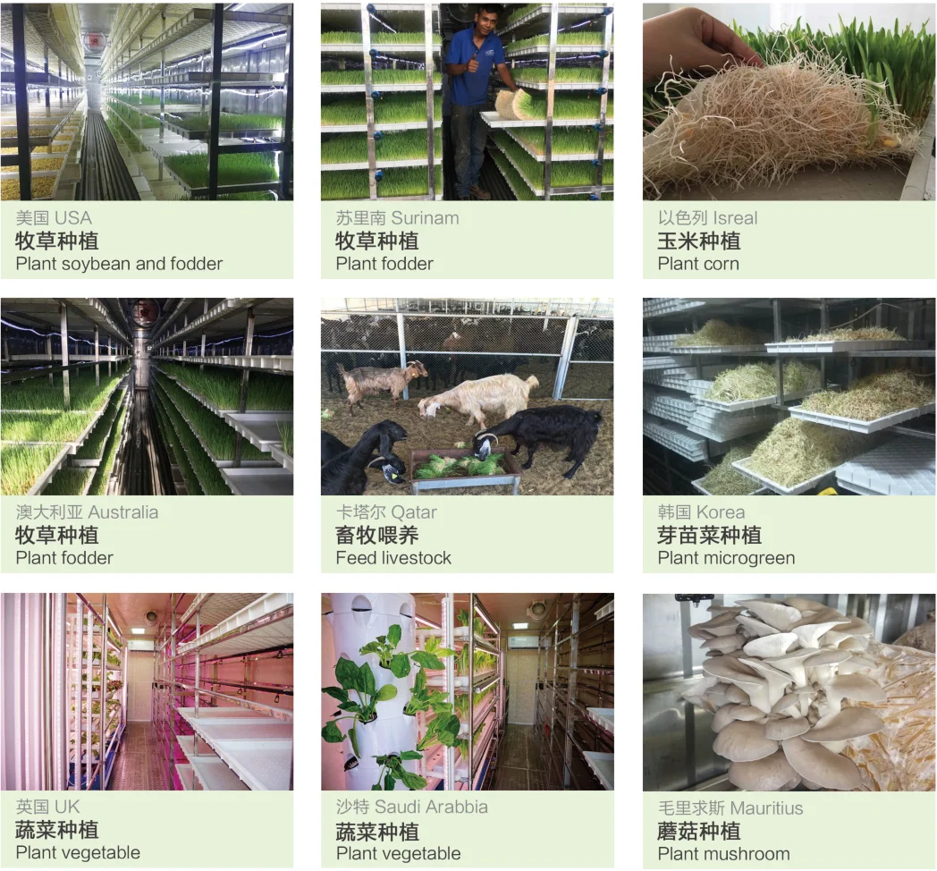 Automatic Vertical Farming Hydroponic Fodder Container System - Buy ...