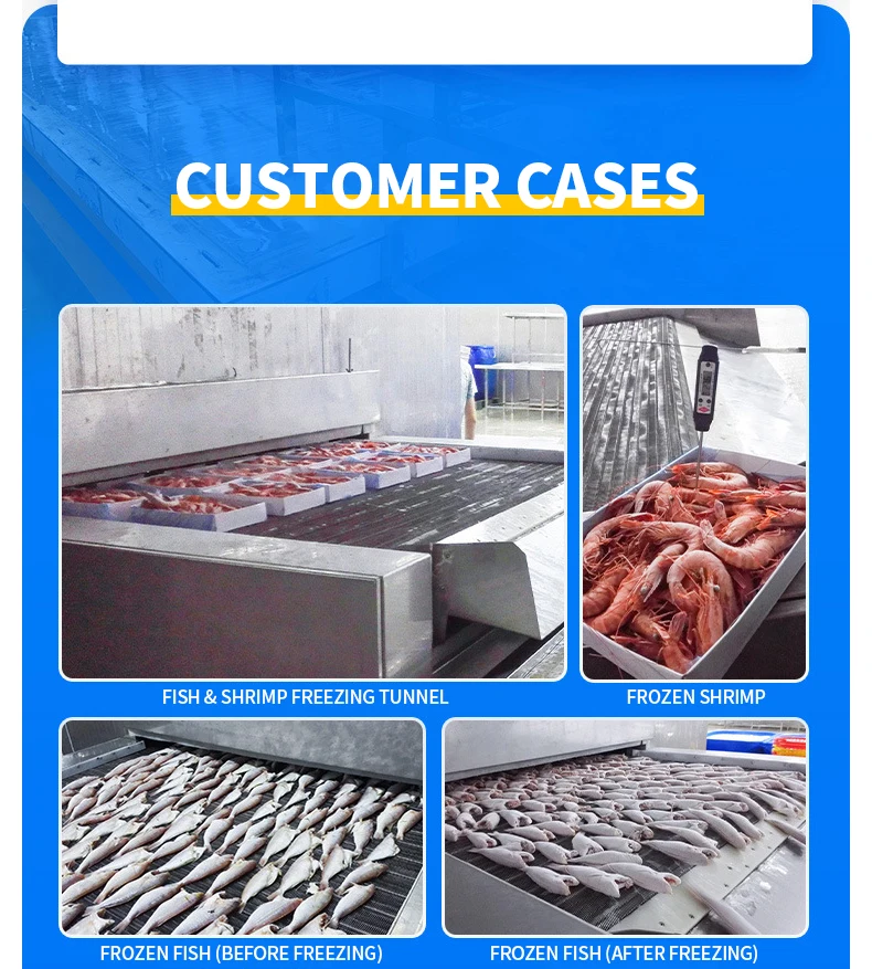 Iqf Tunnel Freezer With Solid Conveyor Belt For Seafood Fish - Buy ...