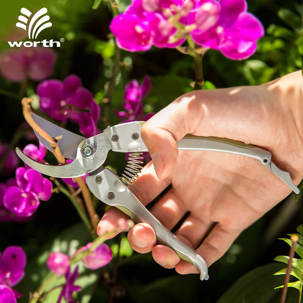 Quality Flower Tree Cut Hand Pruning Gardening Tools Scissors Garden ...
