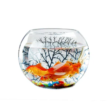 4 To 20 Inch Small And Large Round Cold Cut Clear Glass Aquarium Fish ...