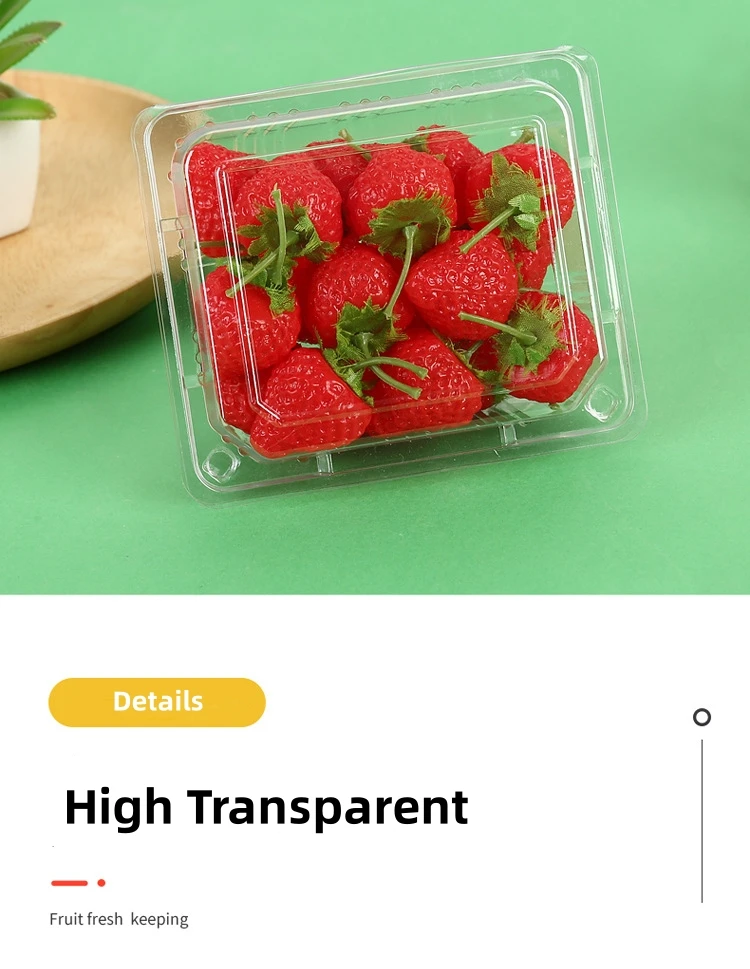 Plastic Disposable Transparent Clamshell Fruit Container - Buy Plastic ...