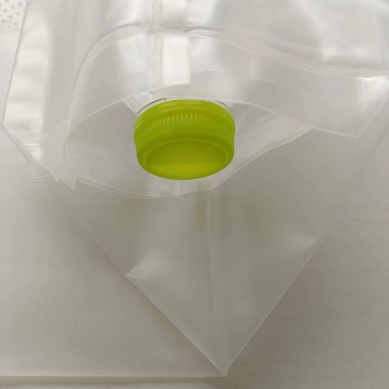 Transparent Custom Print 20kg 25kg Polyethylene Bags