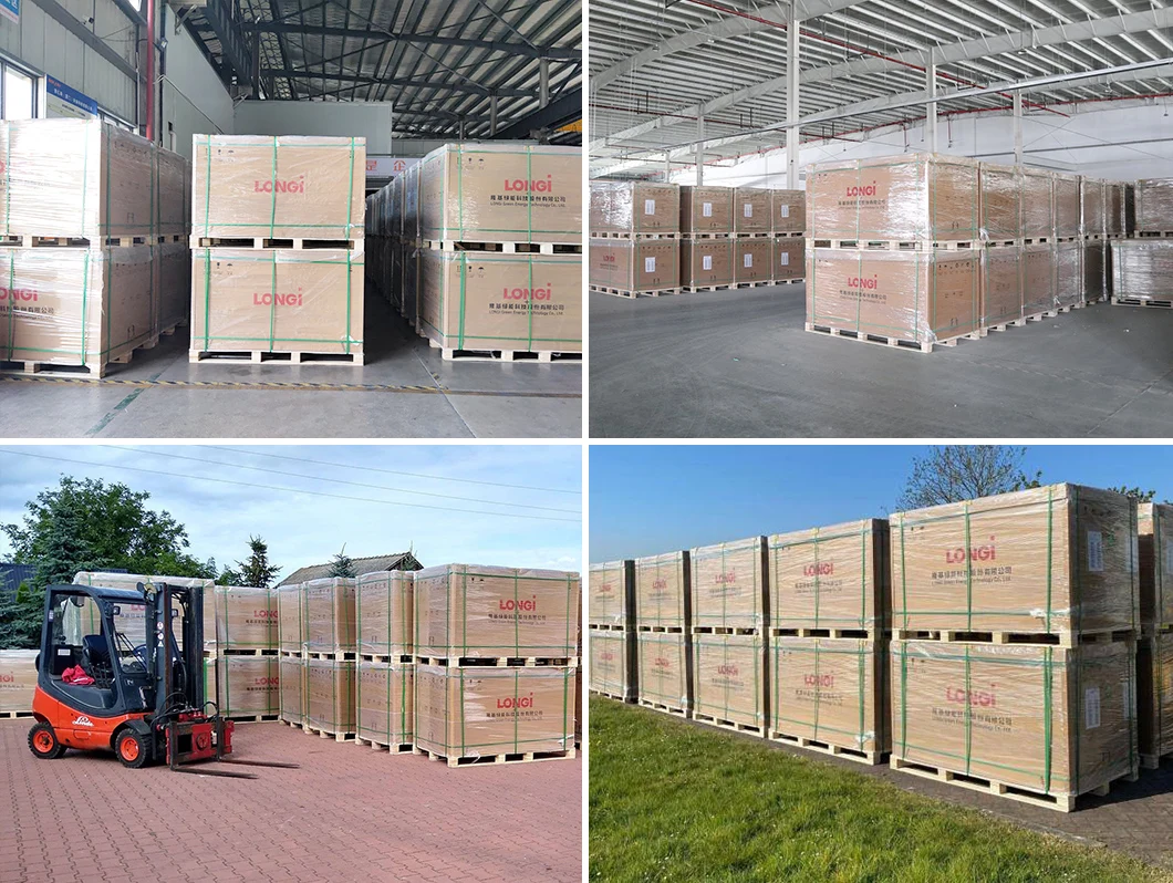 Longi Solar Glass Hi-Mo 6 Lr5-72Hth-585M Panels 550W 585W 600W Single ...