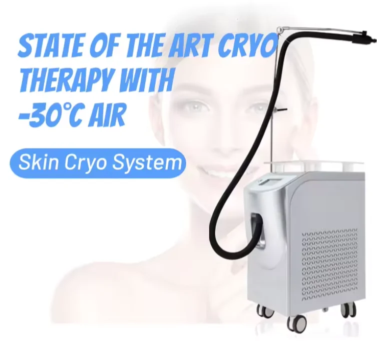 Room Cryo6 Cool Cold air Skin Cooling System Machine Zimmer air Cooling ...